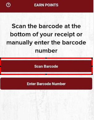 How to scan a receipt using the app?